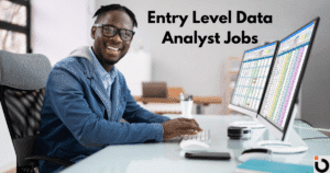 Entry Level Data Analyst Jobs in 2025: Job Description and Salary Insights - Guide for Job ...